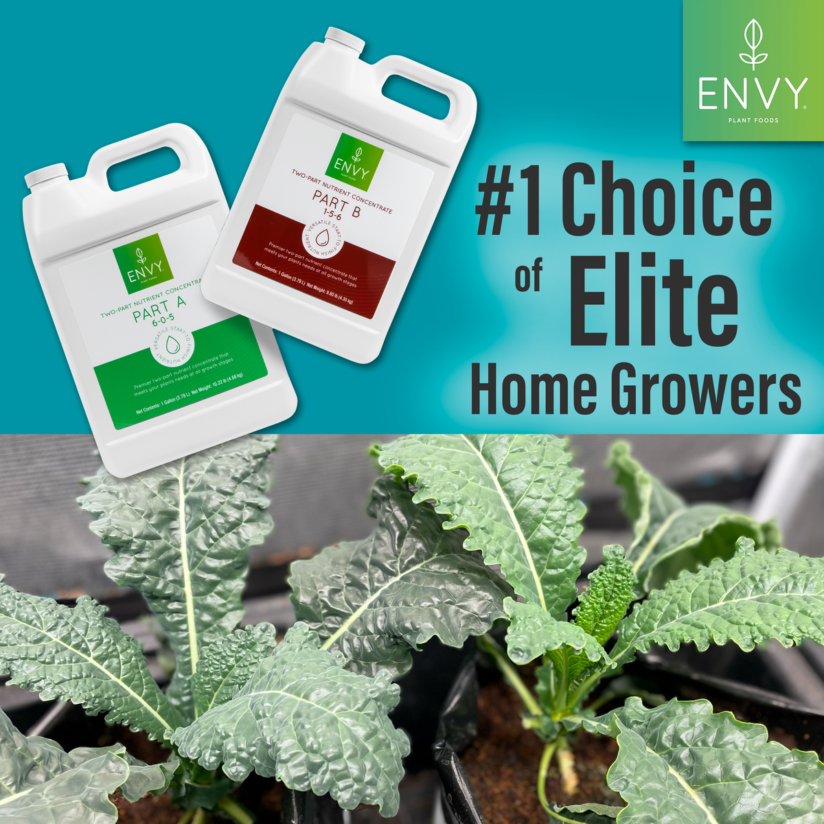 ENVY Liquid Plant Food, 2-Part, Combo Pack A&B – Envy Plant Foods